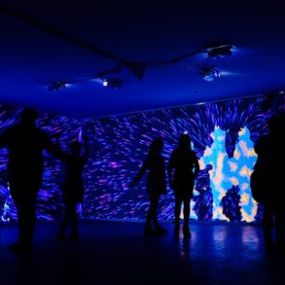 Interactive Dance Mirror| Interactive Dancer | Real-time Motion tracking